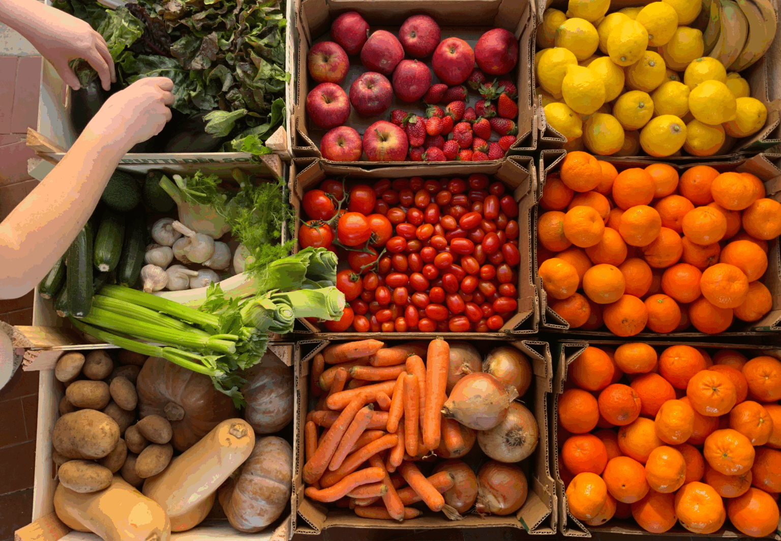 The Science Behind Smiles: How Strong Teeth Build Strong Bodies ...